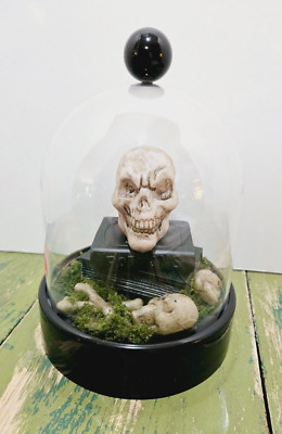 7 Inch Halloween Cloche Dome Skulls Spell Books Bones Moss Light Up | eBay
