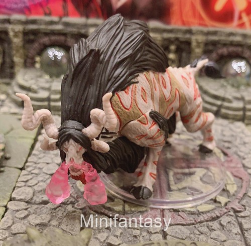 Catoblepas D&D Miniature Dungeons Dragons Pathfinder Theros Ox ...