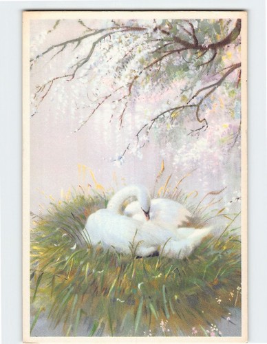 Postcard Spring Arbour Painting By Vernon Ward | eBay