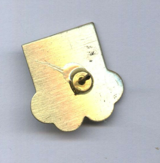 unkown OLYMPIC COMMITTEE undated NOC pin unnoficial | eBay