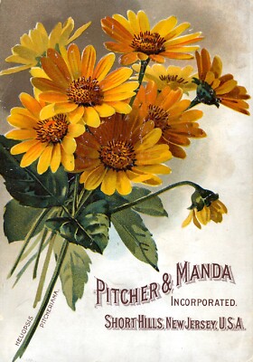 Pitcher & Manda Flower Seeds Cover Reproduction Giclee Matte Print ...