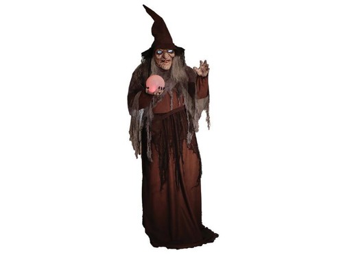 Soothsayer Witch Animated DigitEye Prop Door Greeter Halloween Haunted ...