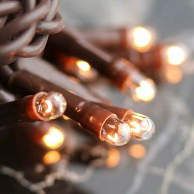 Light Set String Strand - Clear Teeny Rice Bulbs - 20 CT Count - Brown ...