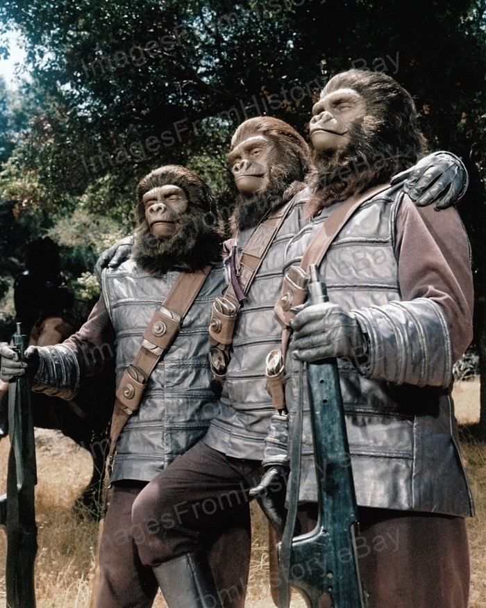 8x10 Print Gorillas on the Hunt in Planet of the Apes 1968 #HGPAA | eBay