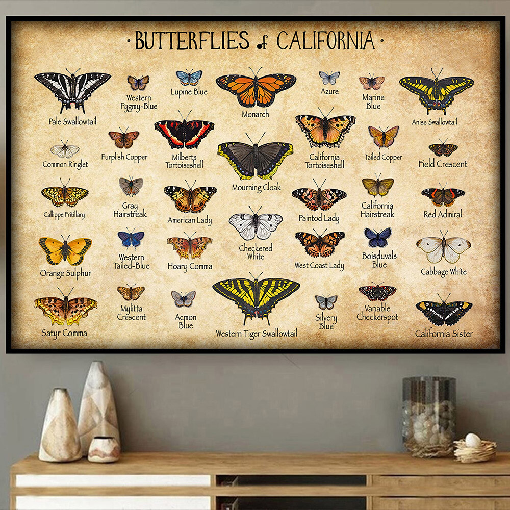 California Butterflies