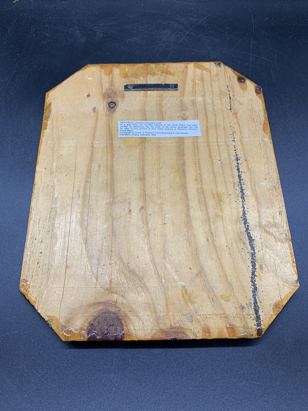 1898 CHEYENNE CHIEF WOLF ROBE PHOTO By RINEHART On Wooden Plaque | eBay