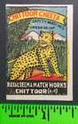 Vintage Cheetah Leopard Safety Matches Matchbox Label | eBay