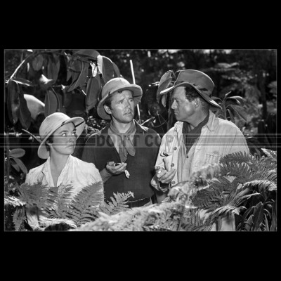 Photo F.014980 RUTH ROMAN VAN HEFLIN HOWARD DUFF (TANGANYIKA) 1954 | eBay
