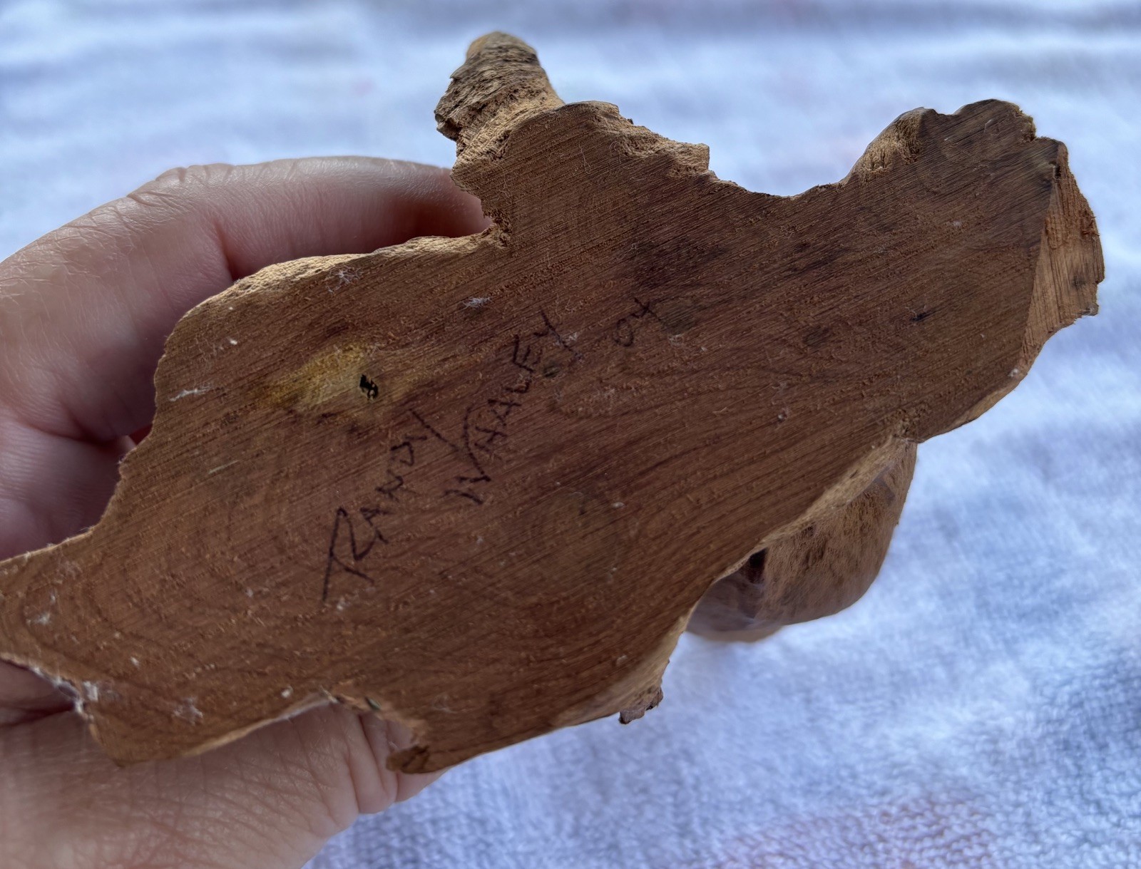 Wooden Hand Carved Wren on Driftwood Signed Randy Whaley 04 | eBay