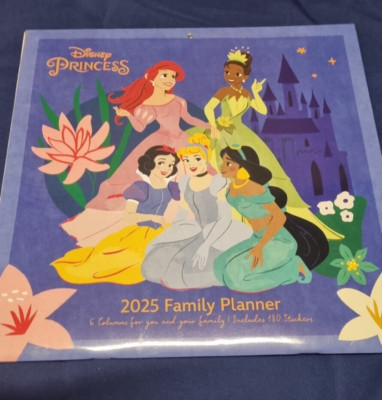 Pyramid International Disney Princess 2025 Family Calendar | eBay UK