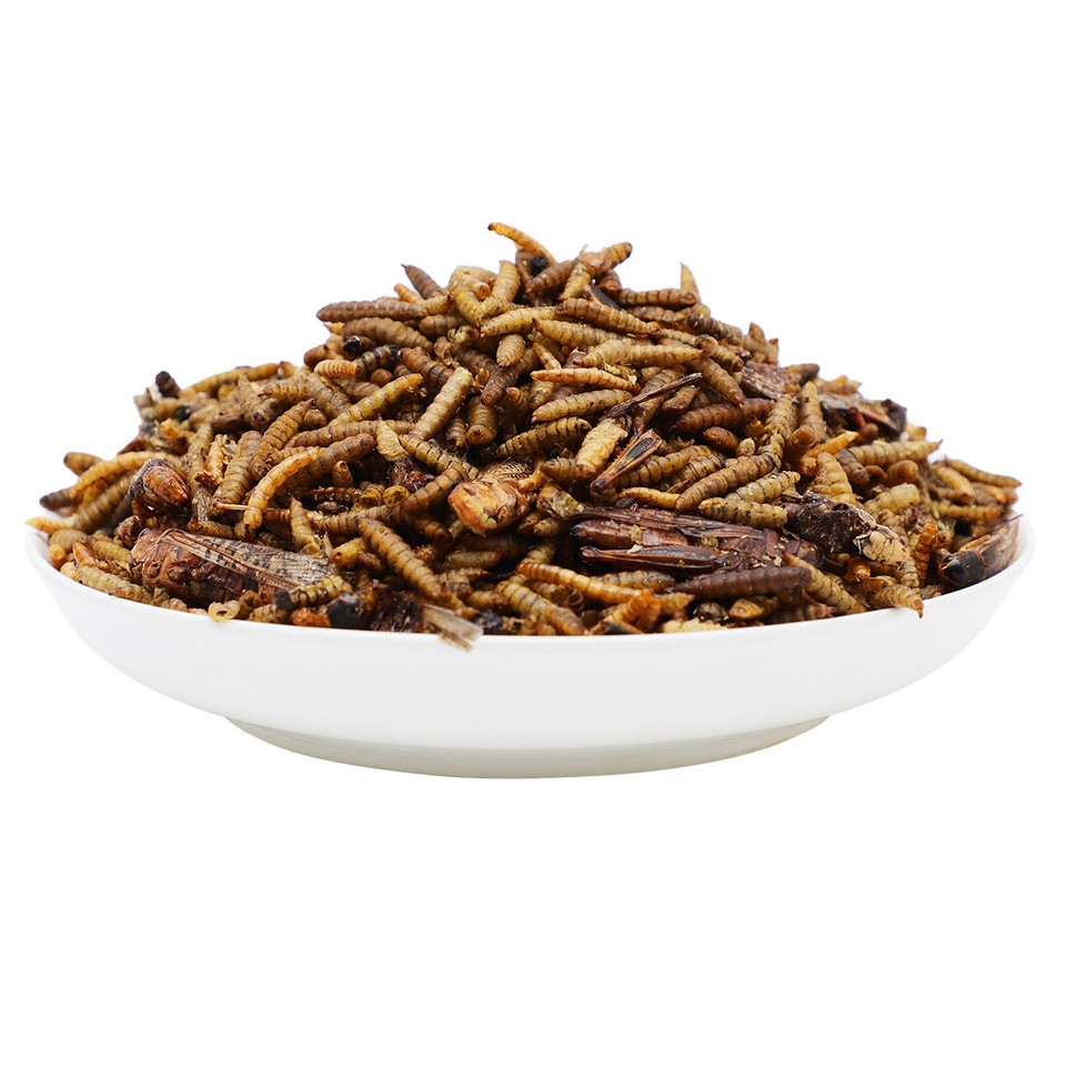 1LBS Dried Insect Trail Mix High Protein Treat BSFL Cricket Grasshopper ...