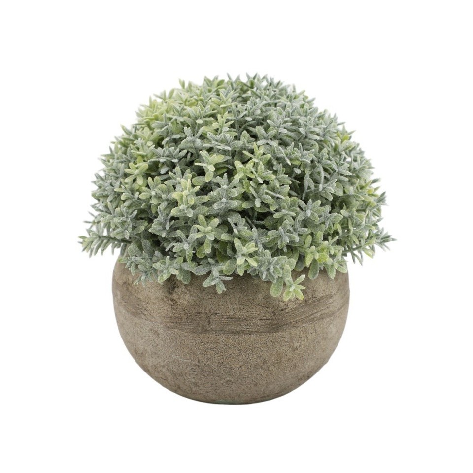 Biodegradable Pot Indoor Potted Decor Biodegradable Pulp No Watering ...