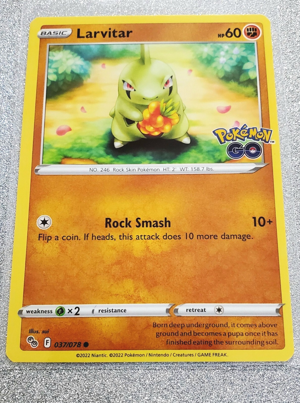 Pokémon TCG Larvitar Pokemon Go 037/078 Regular Common | eBay