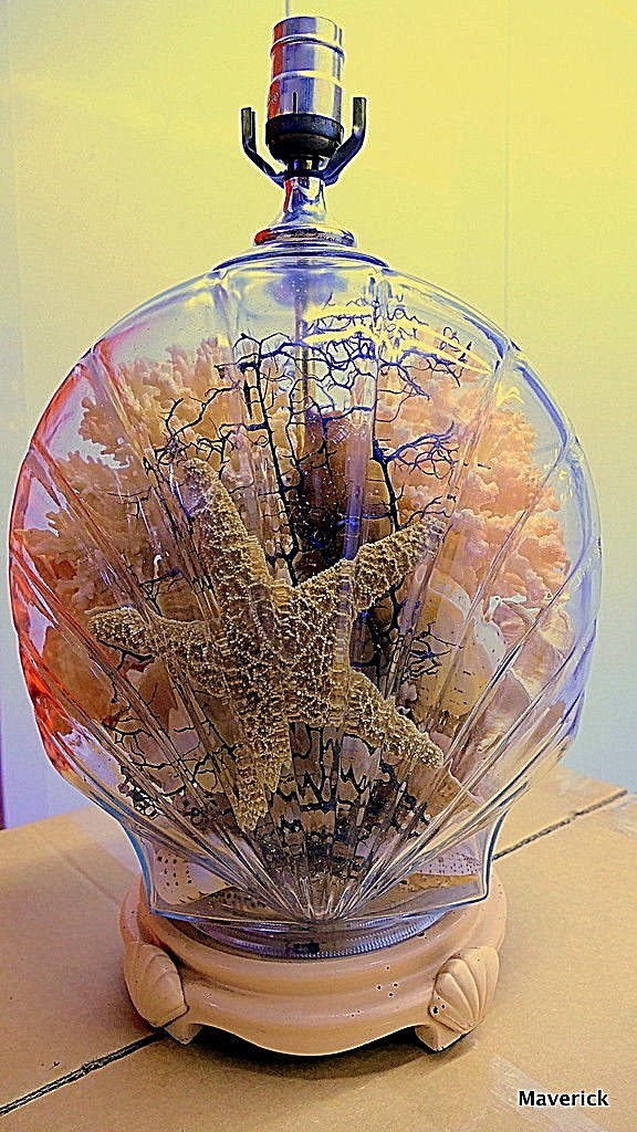 RARE Collectible SEA SHELL Table Lamp contains extinctStarfish/Sand ...