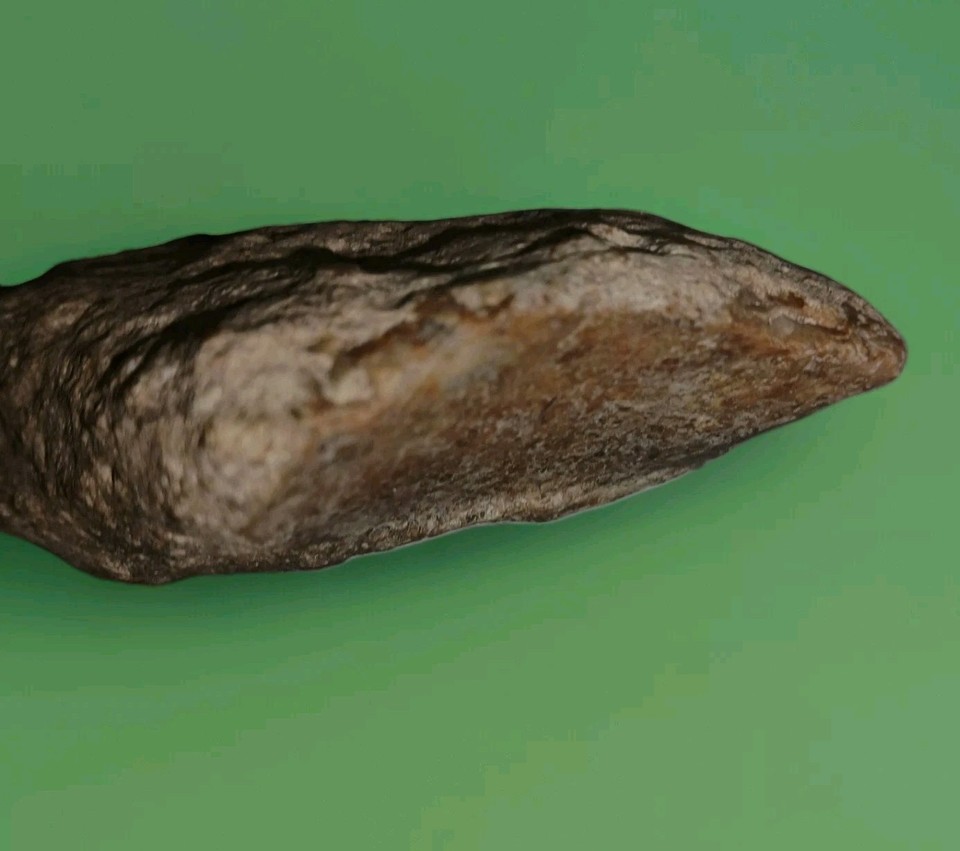 American Magnificent Caddo TRIBE Stone Tranchet Tool | eBay