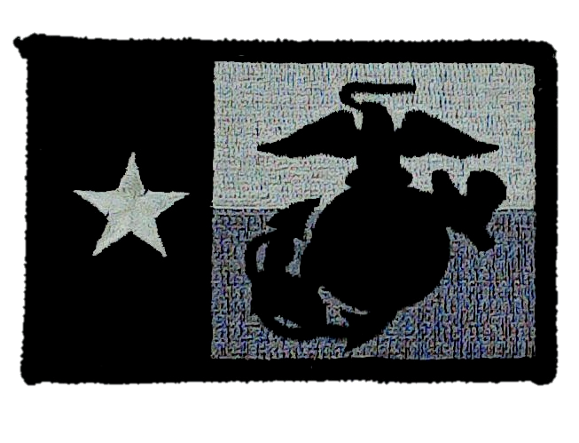 TEXAS FLAG WITH EGA MARINE LOGO TX 100% EMBROIDERED SUBDUED PATCH | eBay