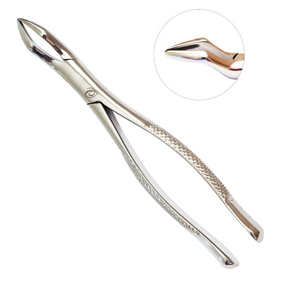 Dental Extraction Forcep #286 Upper Roots Premolars & Incisors Surgery ...