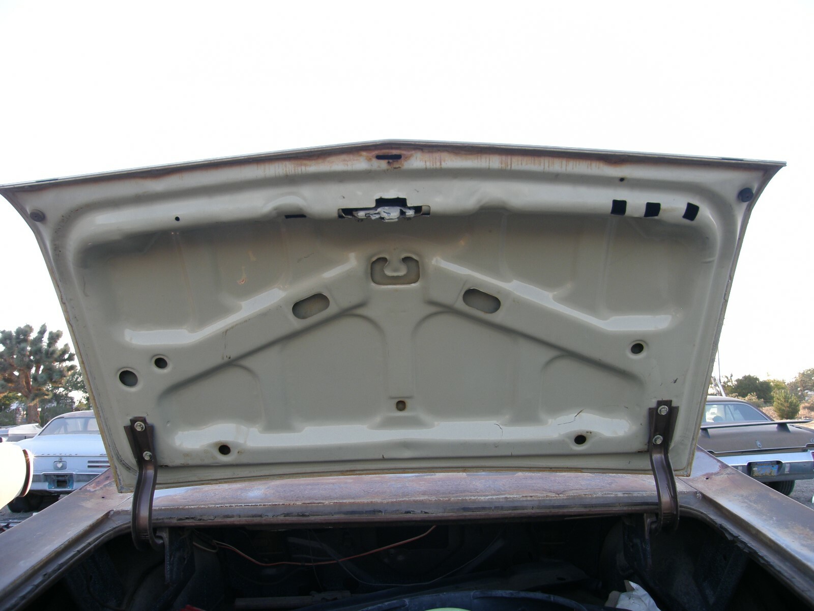 1970 71 72 BUICK SKYLARK GS GSX 455 STAGE 1 DECK LID TRUNK LID for ...