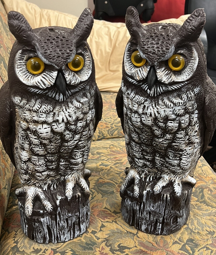 2 Owl props | eBay