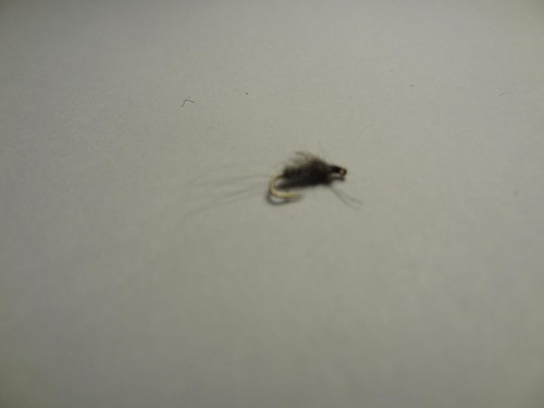 1 DOZ PW-2 RS2 EMERGER (SELECT YOUR SIZE & COLOR) NYMPH | eBay