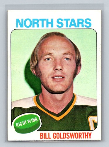 Bill Goldsworthy 1975-76 Topps #180 Minnesota North Stars | eBay
