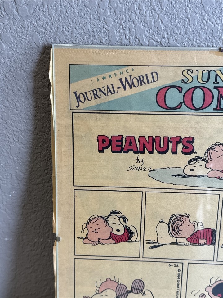 Peanuts By Schulz Sunday Comics Journal-World June 26, 1994 Framed ...