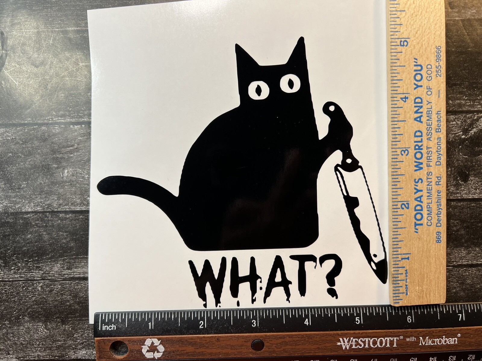 Cat What Black Vinyl Car Laptop Window Decal New | eBay