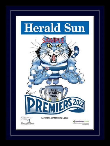 2022 MARK KNIGHT PREMIERSHIP POSTER FRAMED GEELONG CATS AFL PREMIERS ...