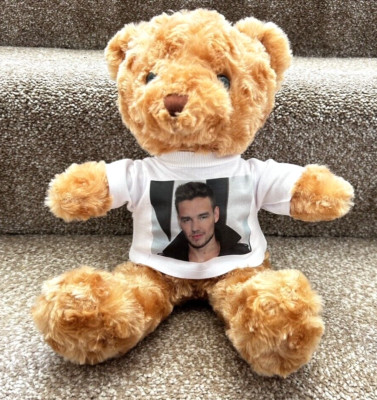ONE DIRECTION Liam Payne CUDDLY TEDDY BEAR 1D NO.2 | eBay