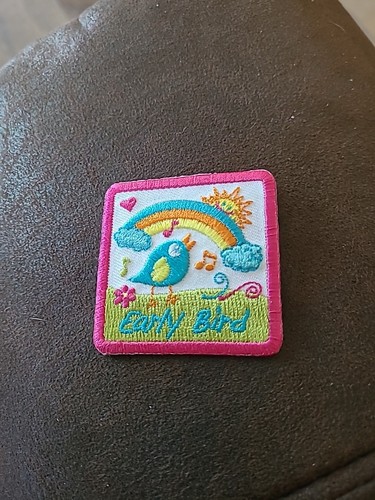Girl Boy Cub EARLY BIRD Rainbow REGISTRATION Fun Patches Badges SCOUT ...