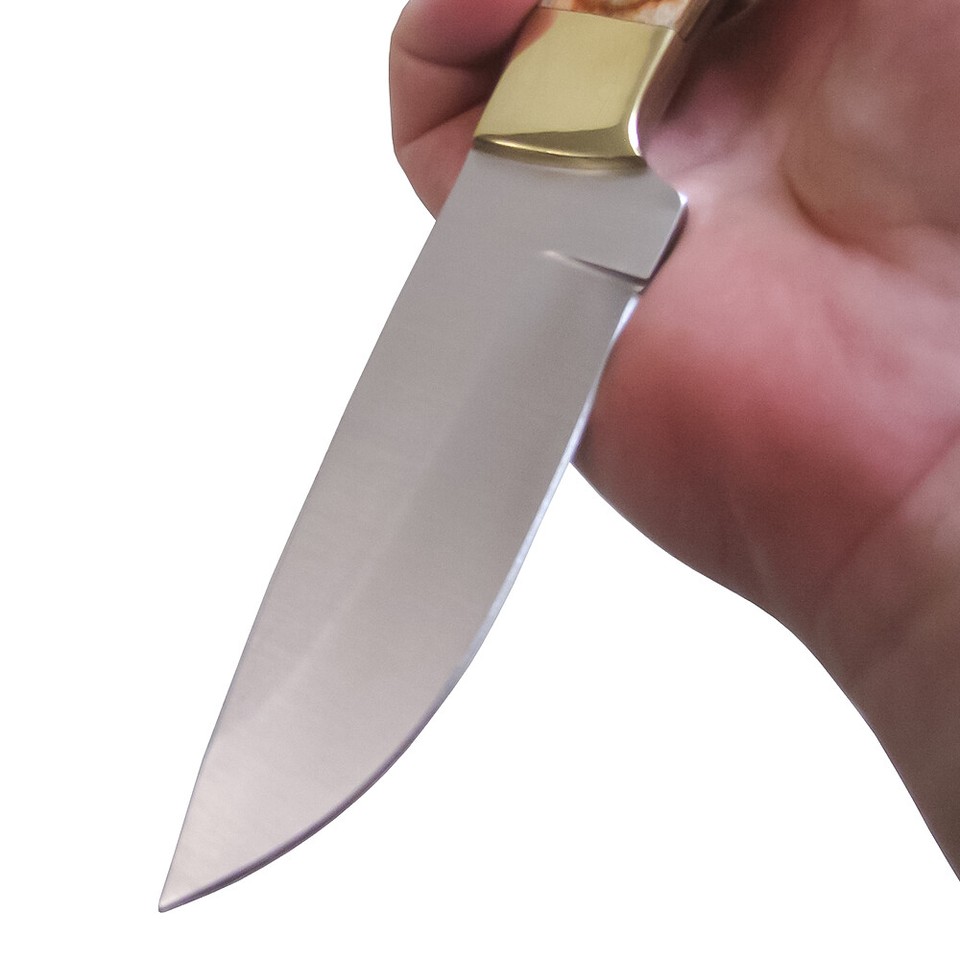 Cannon Wood SKINNER HUNTING KNIFE w/Leather Sheath Full Tang 8" Fixed ...