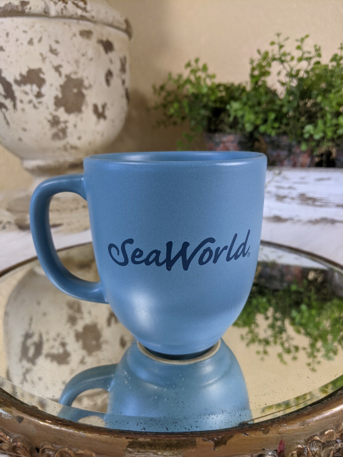 SeaWorld Shark Authentic Blue 14 oz. Coffee/Tea Mug | eBay