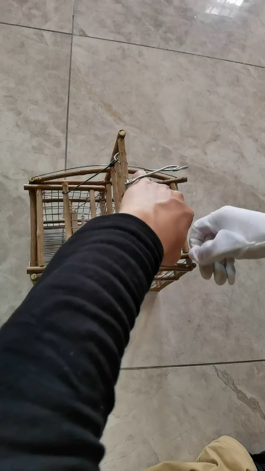 2-Door Birdcage Repeating Trap Cage Hunting Escaped bird cage Birds ...