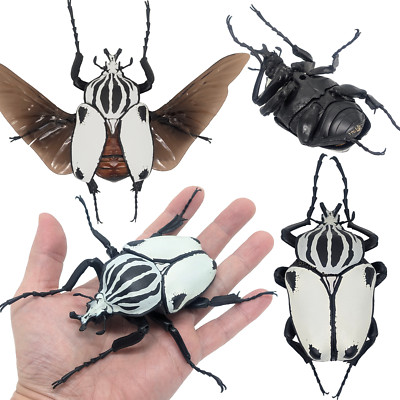 Bandai Japan Gashapon Goliathus Quadrimaculatus 7in Big Realistic ...
