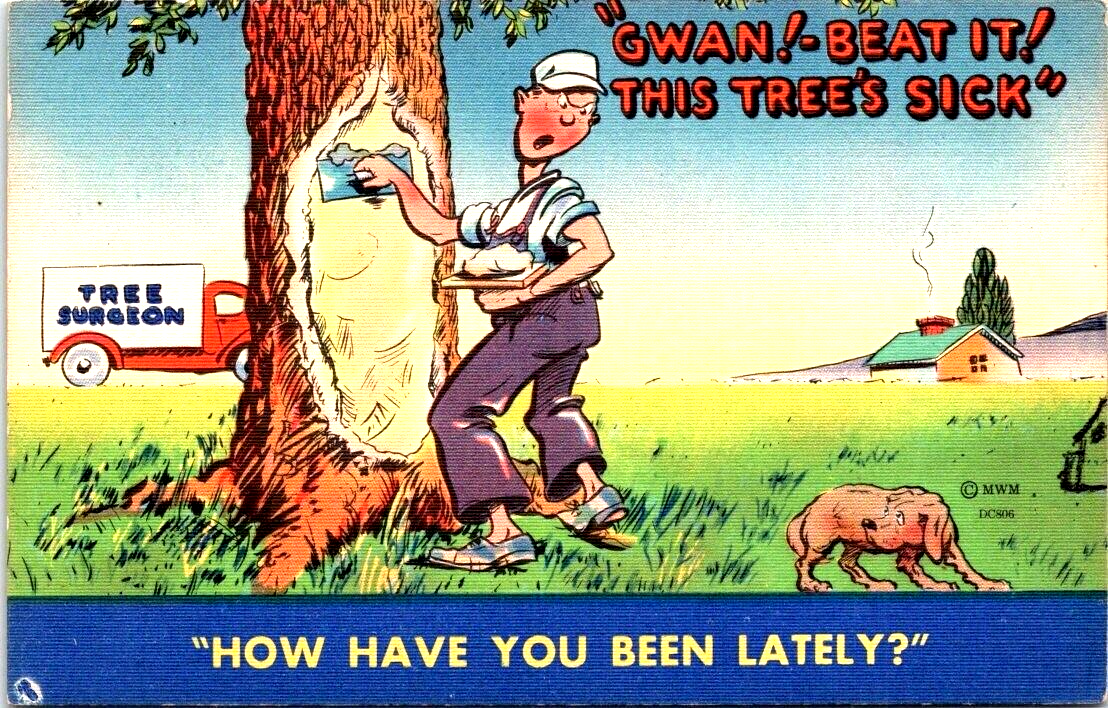 Postcard Humor Gwan Beat It This Trees Sick Tree Surgeon Said to Puppy ...