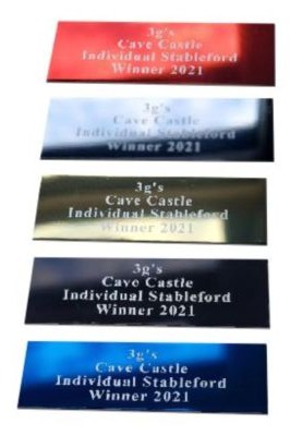 LASER ENGRAVED SELF-ADHESIVE TROPHY PLAQUE CHOICE OF 5 COLOURS, AWARD ...