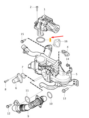 VOLVO V60 MK1 AGR-Ventil-O-Ring 31370244, NEU, ORIGINAL | eBay UK