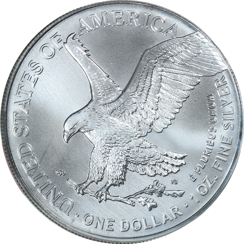 2024(P) Silver American Eagle $1 NGC MS70 Early Releases Star Privy ...