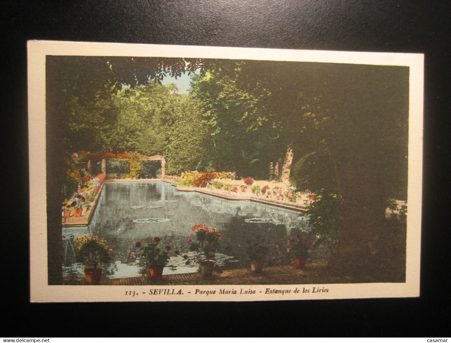 113 - Sevilla Park Of Maria Luisa Pond of The Lilies Postcard Spain | eBay
