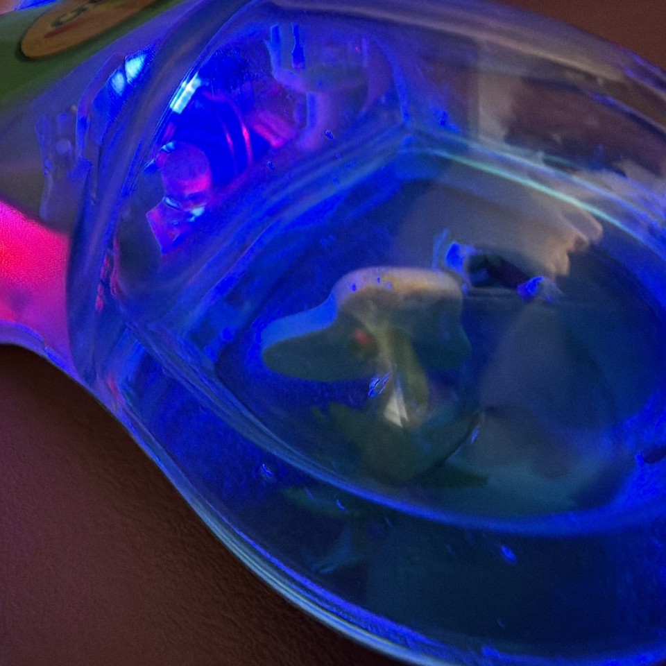 CRAYOLA PC COMPUTER EZ Click Optical MOUSE Water Global Charm Plug Play ...