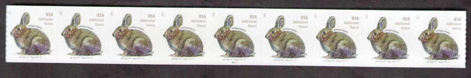 US. 5545. (20c). Brush Rabbit. Coil PNC9. #P11111. Mint. NH. 2021 | eBay