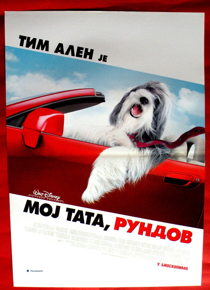 The Shaggy Dog 2006 Poster The Shaggy Dog (2006) Poster CH