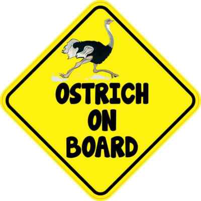 5in x 5in Ostrich On Board Sticker Car Truck Vehicle Bumper Decal | eBay