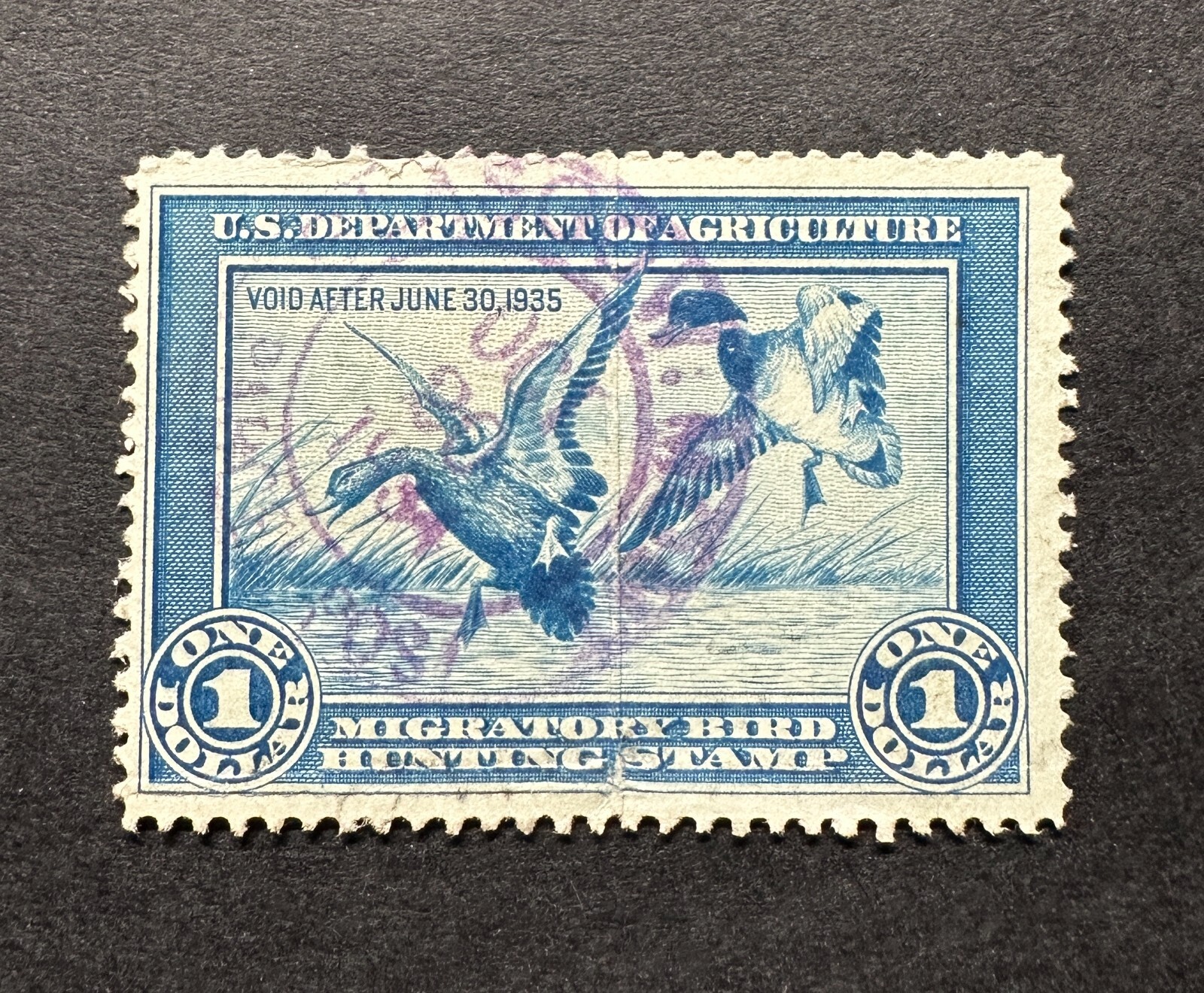 #RW1 1934 - Federal Duck Stamp **LONOKO, ARKANSAS** NG - Cancel | eBay