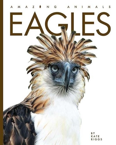 Kate Riggs Eagles (Tascabile) Amazing Animals 9781628329124 | eBay
