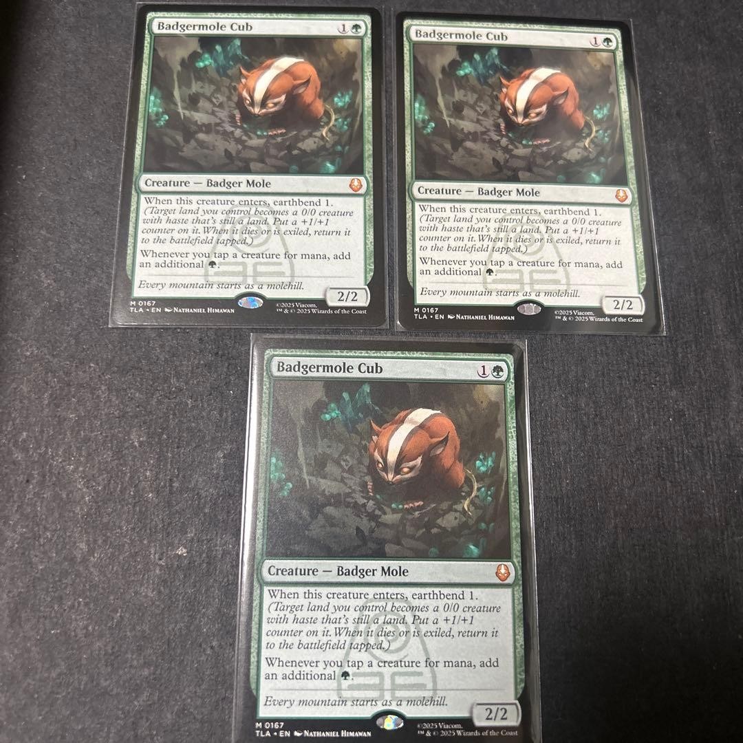 Badgermole Cub 3 pieces mtg English | eBay