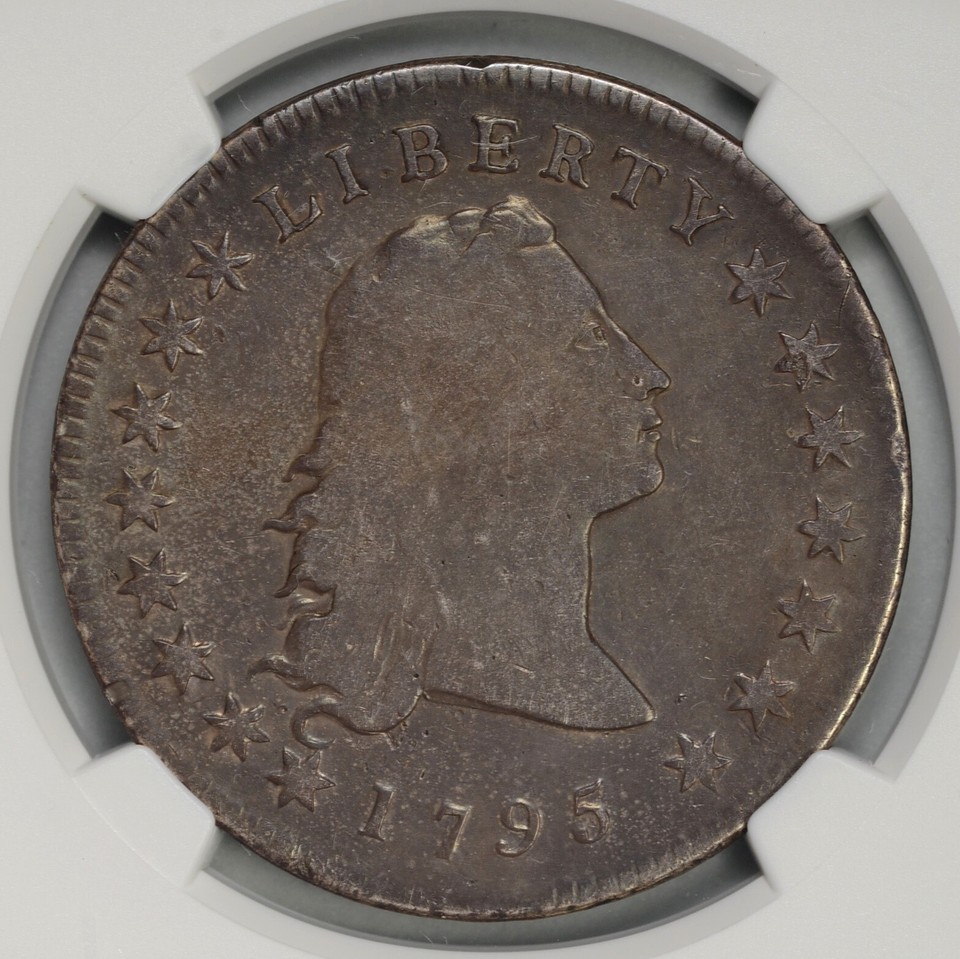 1795 NGC F12 FLOWING HAIR DOLLAR ~ 2 Leaves ~ #3663977-001 | eBay