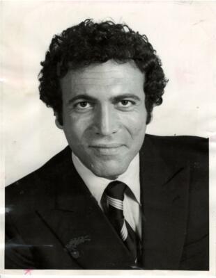 "RHODA"-ORIGINAL PHOTO-TV SHOT-DAVID GROH-PORTRAIT | eBay