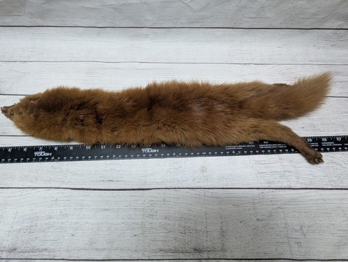 VTG Whole Body RED BROWN MINK Pelt | eBay