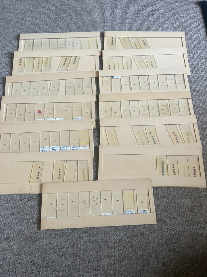 3 X BOXES Vintage Glass Specimen Microscope Slides UKNOWN JOB LOT | eBay UK